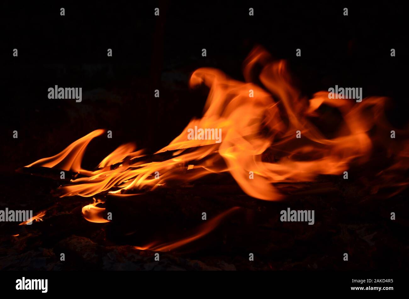 Burning wood logs in the night. Blurred light. Bright red fire. Nature ...