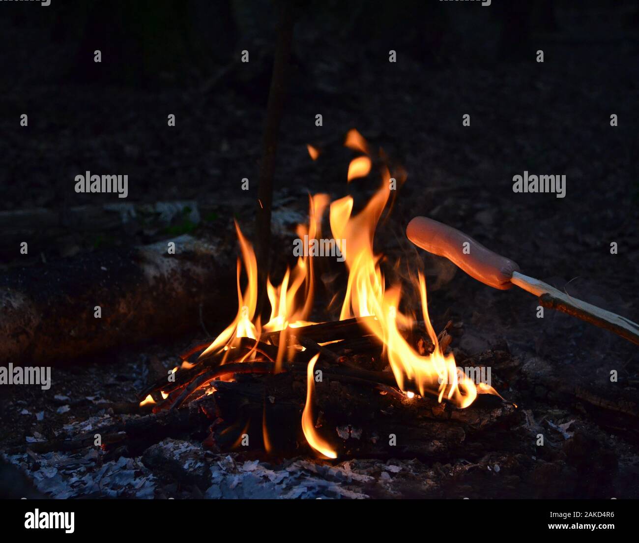 Burning wood logs in the night. Blurred light. Bright red fire. Nature ...