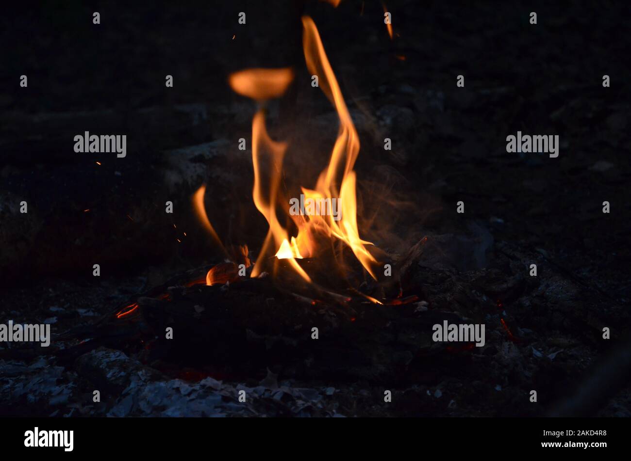 Burning wood logs in the night. Blurred light. Bright red fire. Nature ...