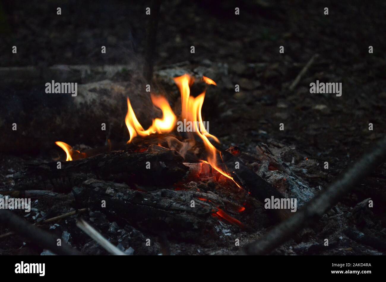 Burning wood logs in the night. Blurred light. Bright red fire. Nature ...