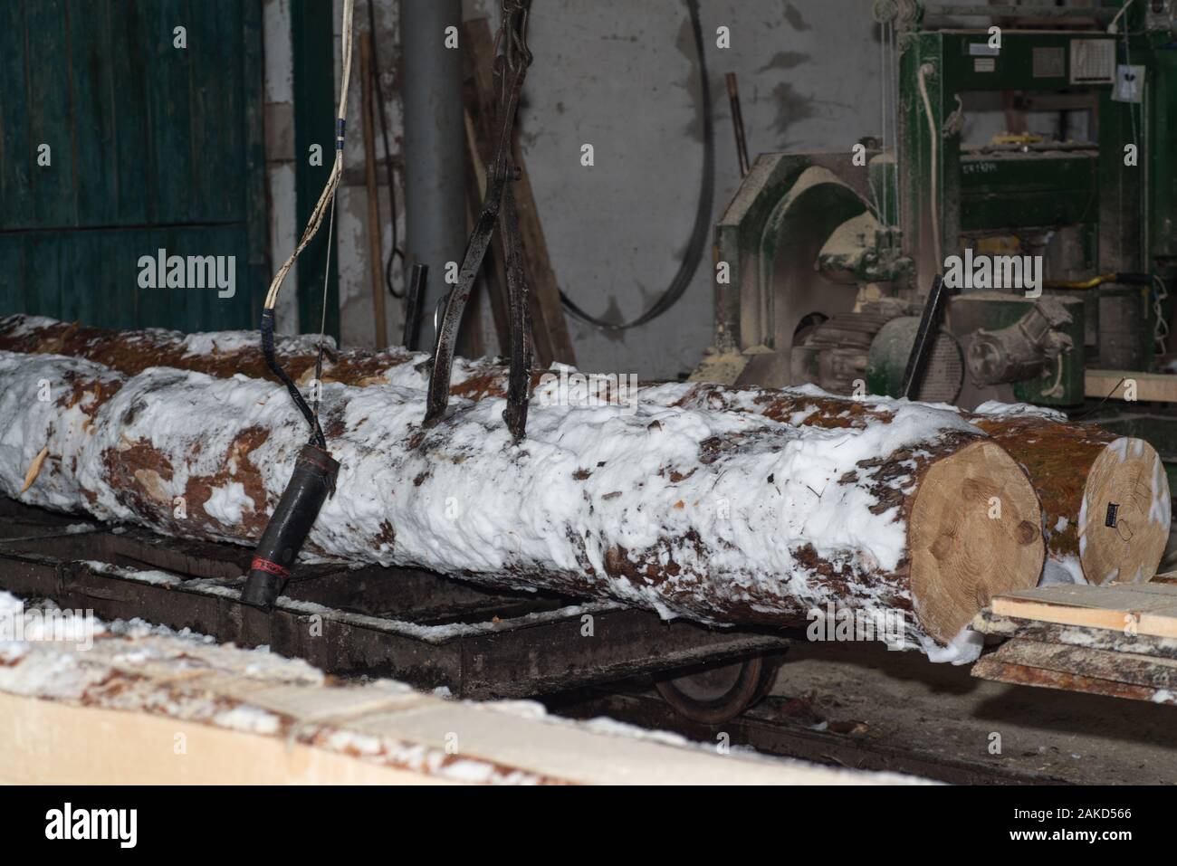 Sawmill. Process of machining logs in equipment sawmill machine saw ...