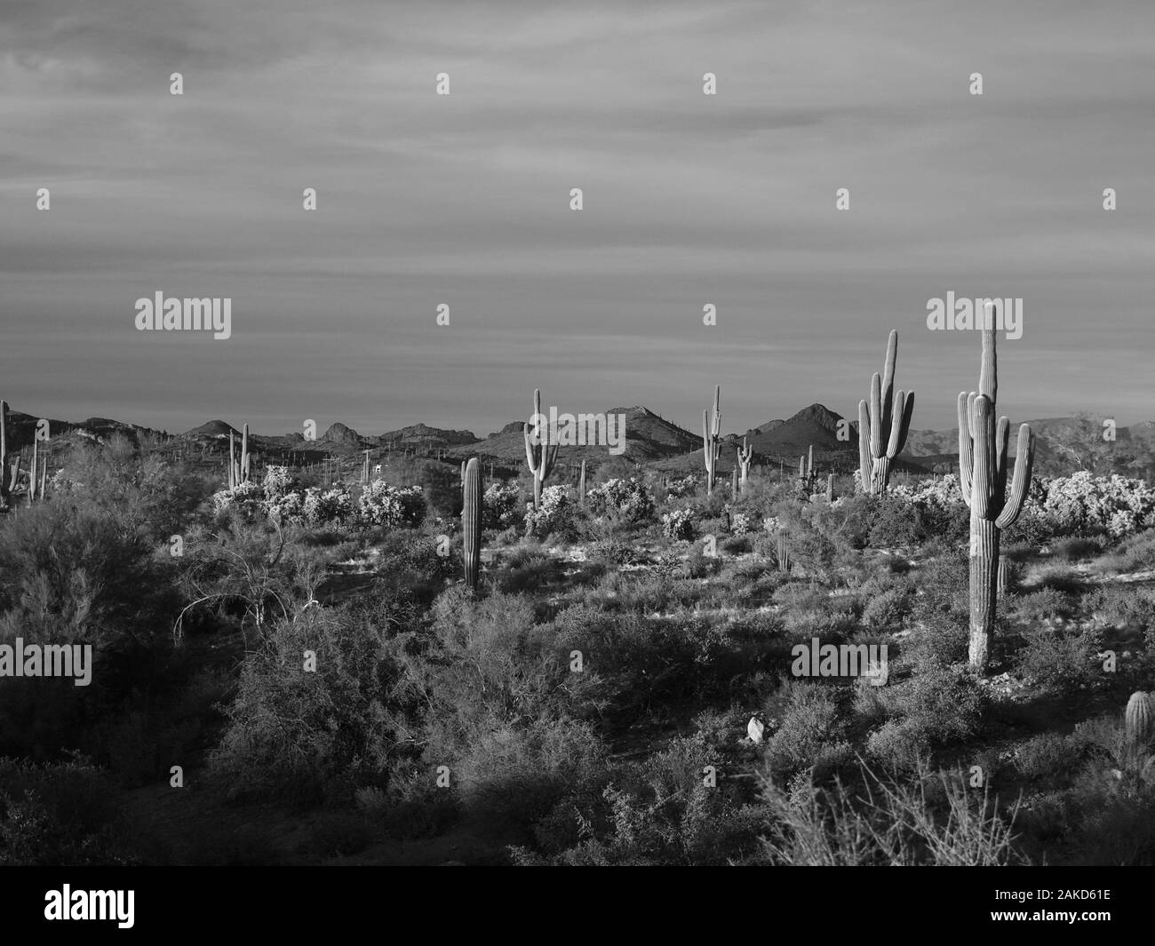 Superstition mountains black and white hi-res stock photography and ...