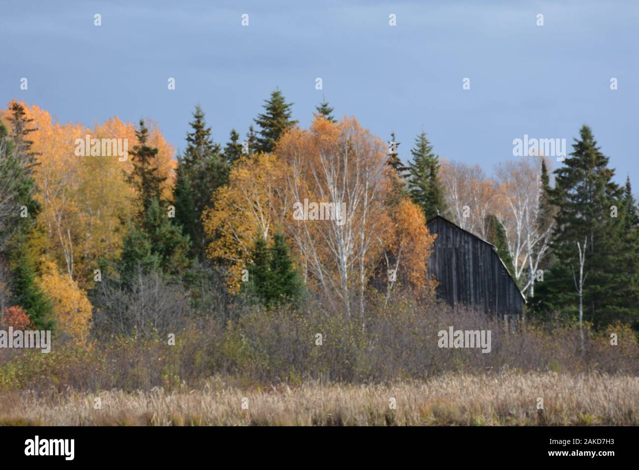 Rural ontario hi-res stock photography and images - Alamy