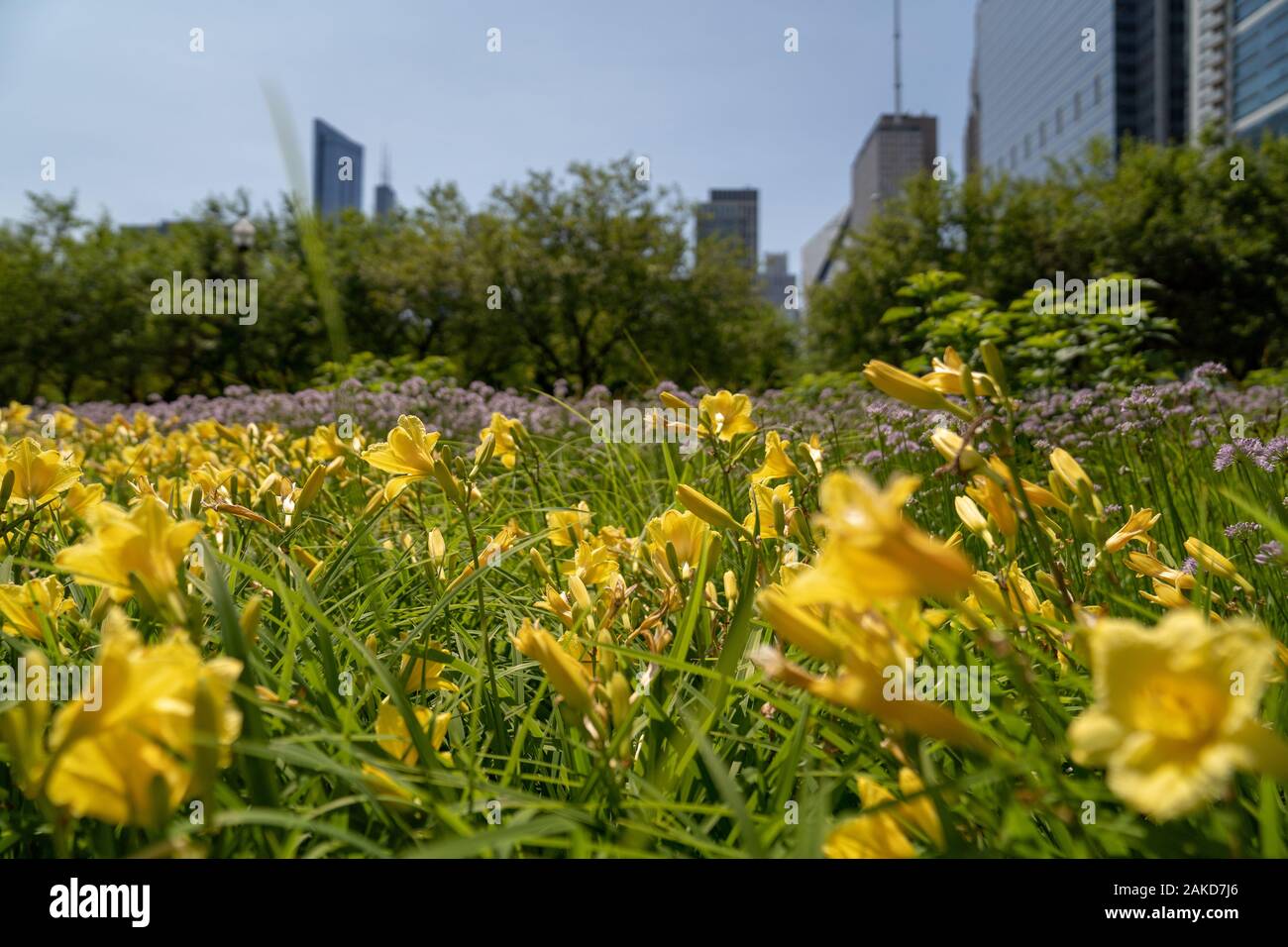 Chicago plants hi-res stock photography and images - Alamy