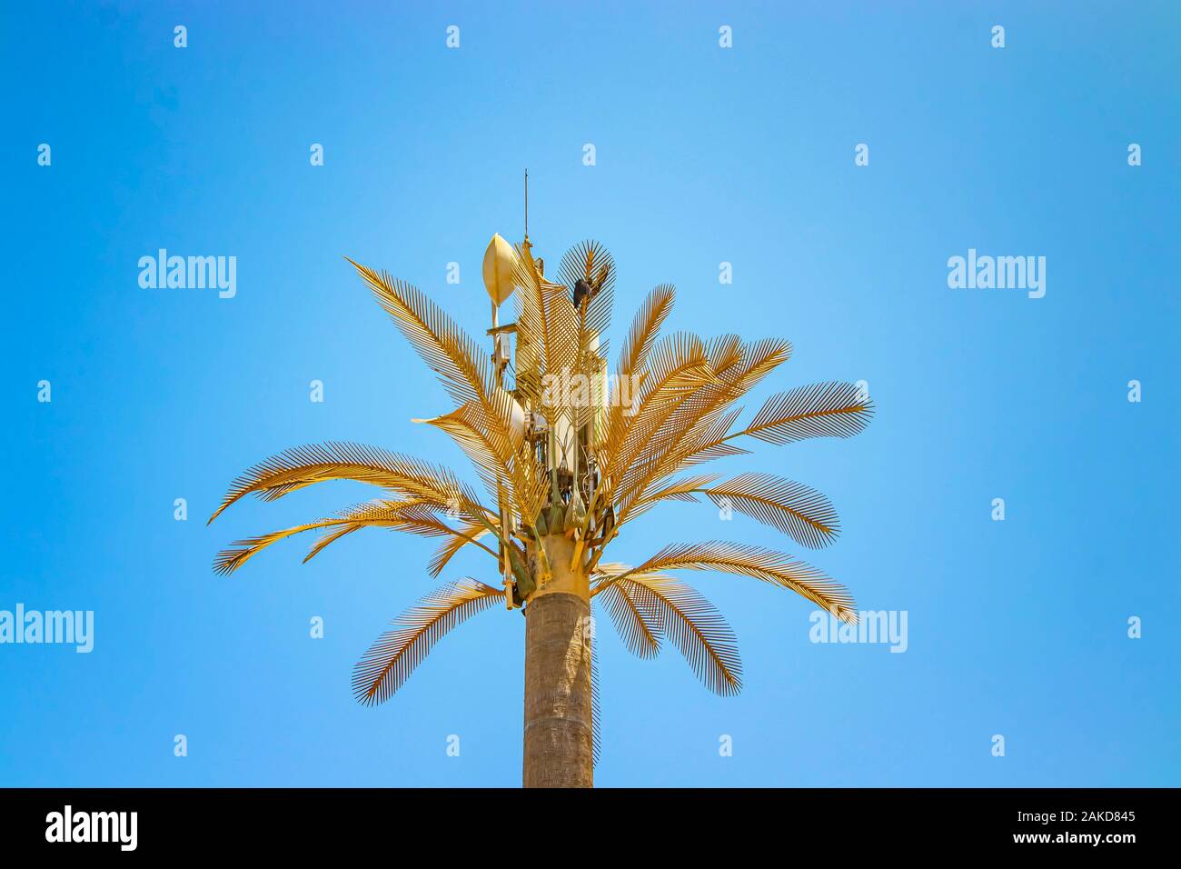 Tall column in the shape of a golden palm tree stands on the island of ...