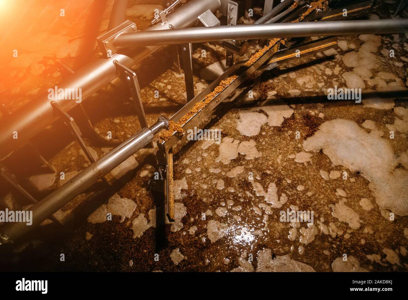 Brewing process. Fermentation and filtration of beer inside the vat ...