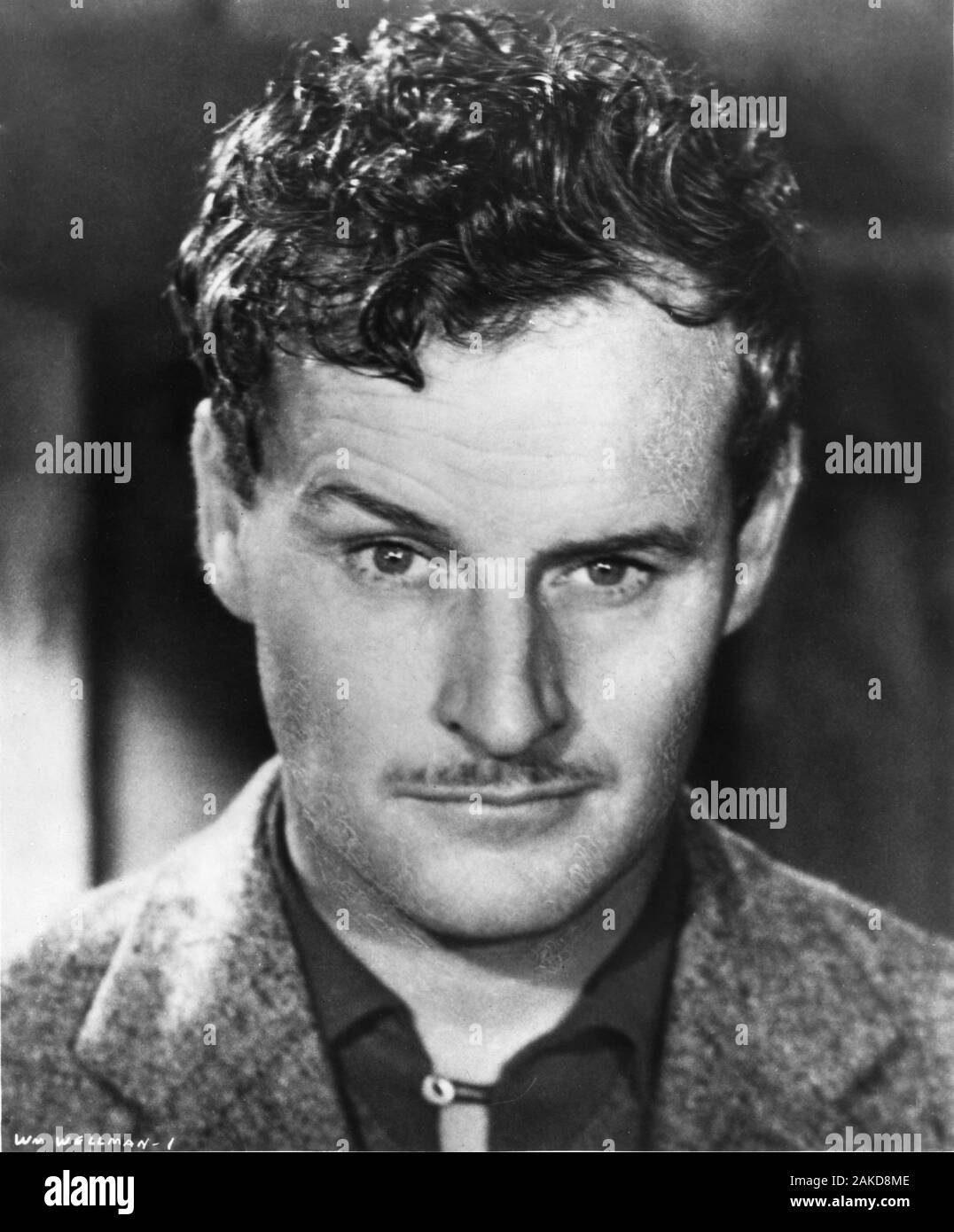 William a wellman director hi-res stock photography and images - Alamy