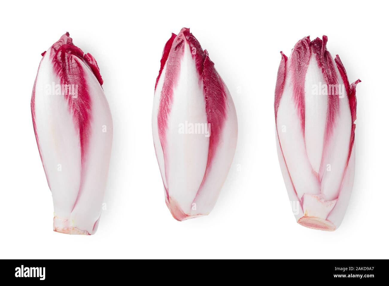 red chicory or radicchio isolated on white background. Top view. Flat ...