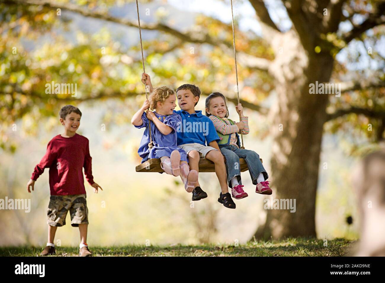 Kids playing on a swing Stock Photo - Alamy