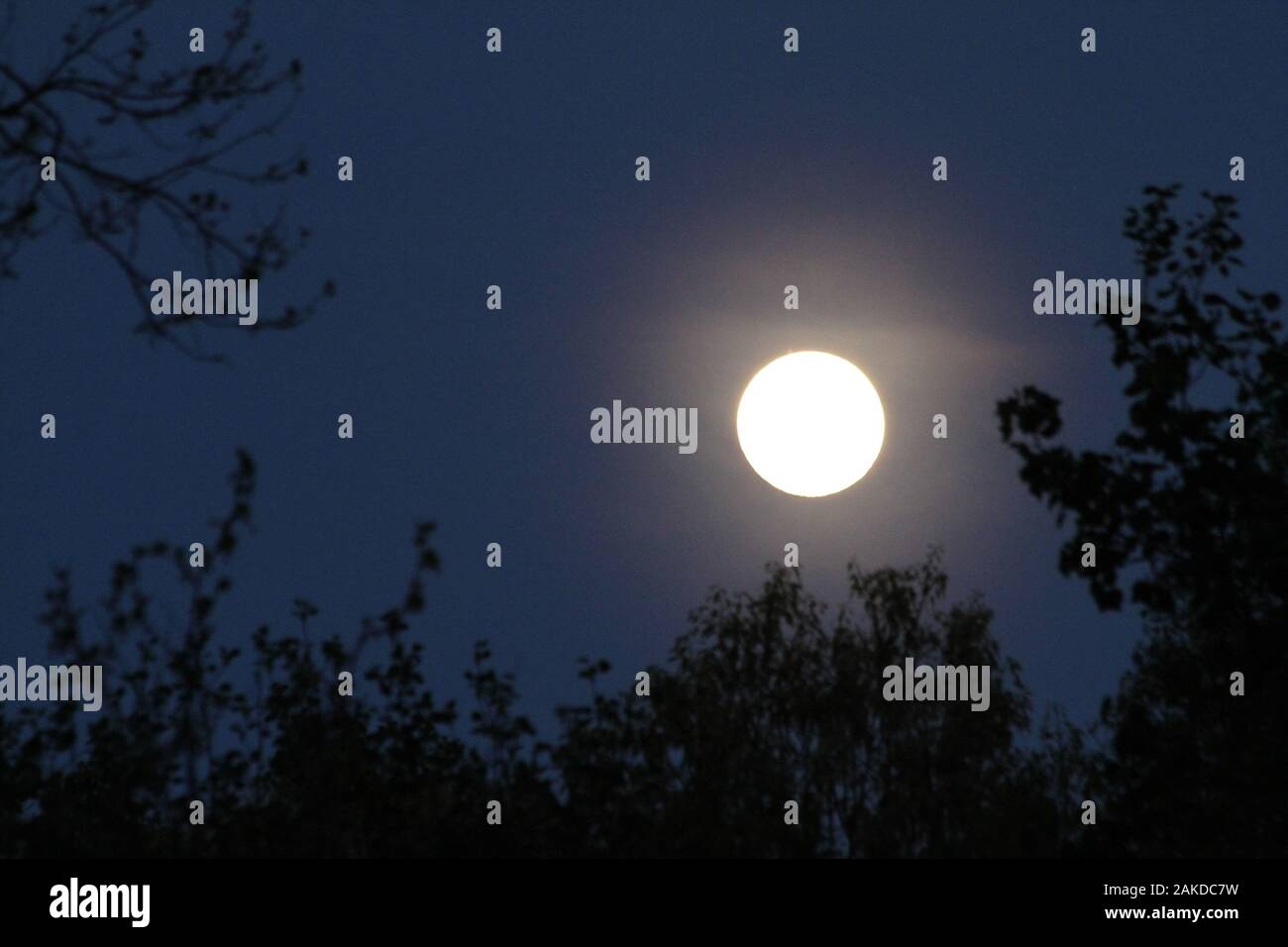 View bright full moon hi-res stock photography and images - Alamy