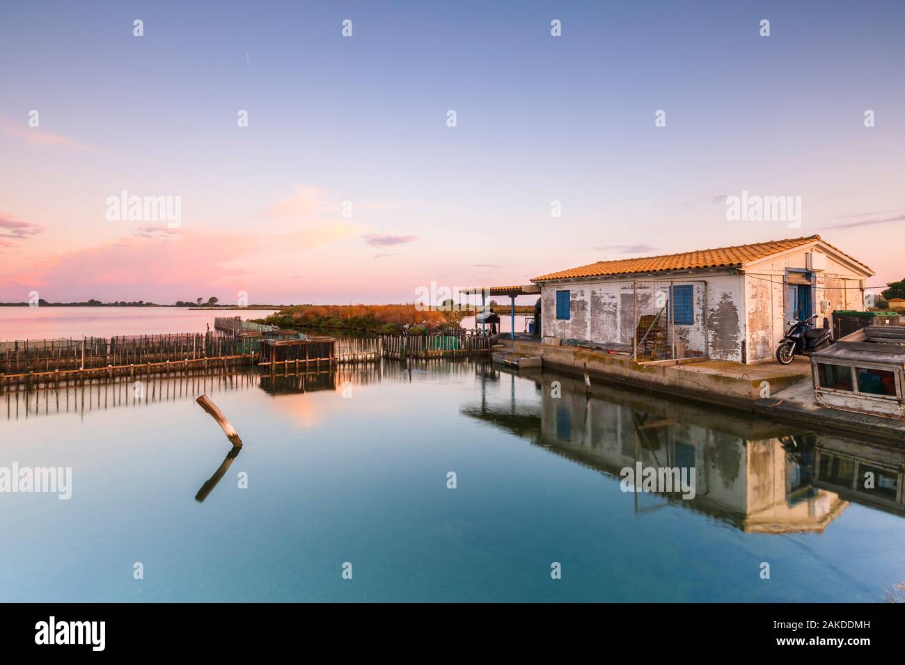 Ionian sea fish hi-res stock photography and images - Alamy