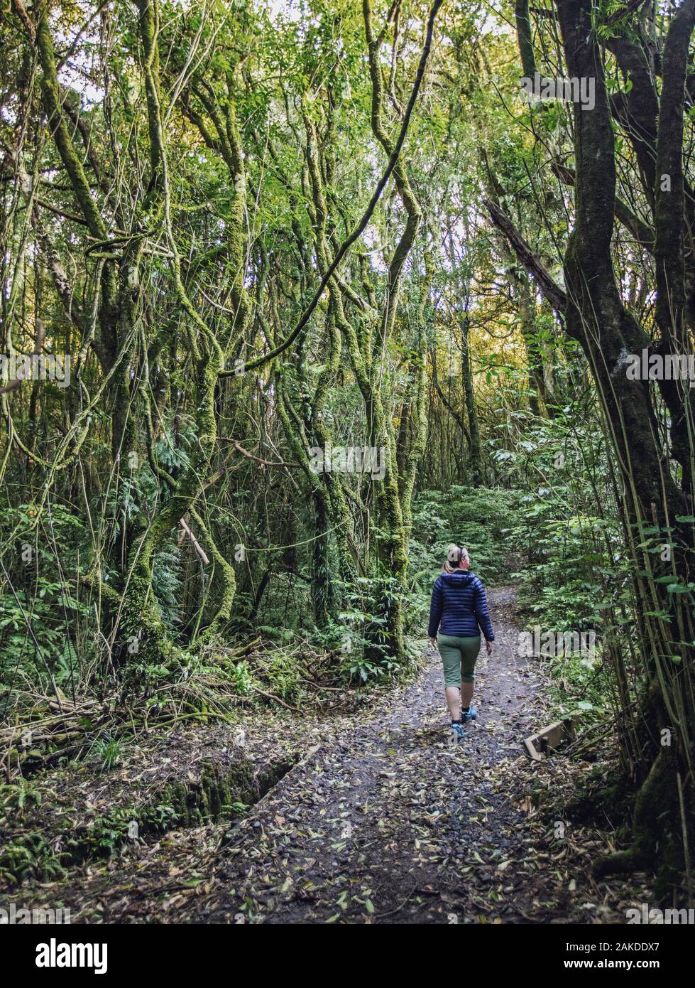 Rotokare hi-res stock photography and images - Alamy