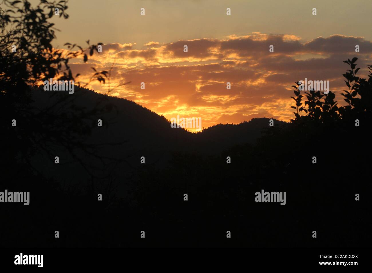 Beautiful sun flare behind light hi-res stock photography and images ...