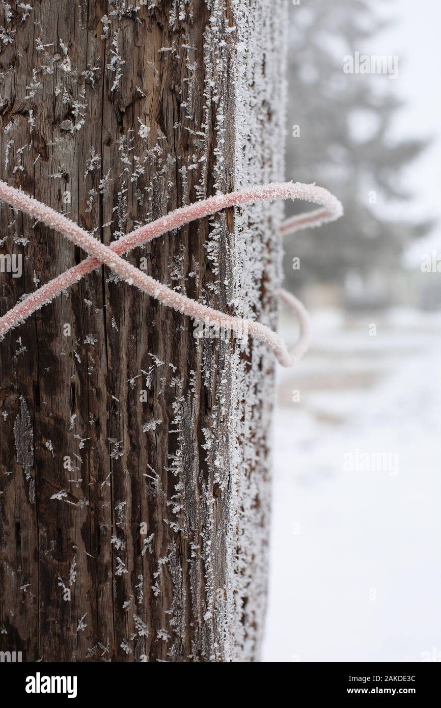 Frost covered fence post with cord Stock Photo - Alamy