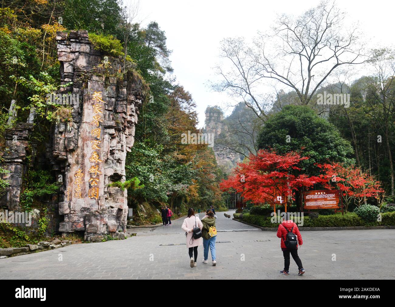 Zhangjiajie national forest park in Hunan, China Stock Photo - Alamy