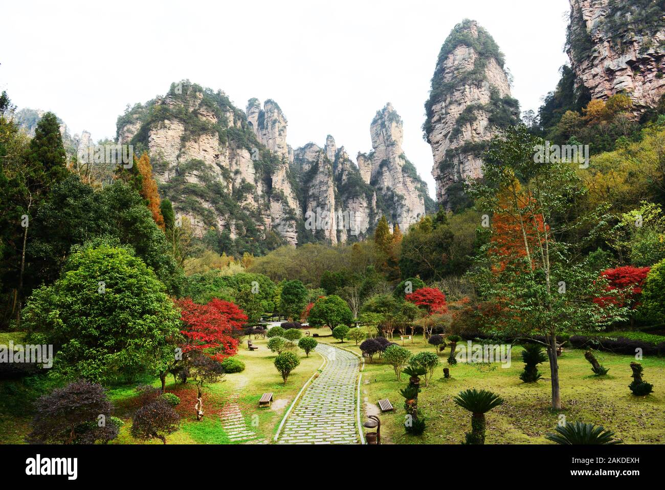 Zhangjiajie national forest park in Hunan, China Stock Photo - Alamy