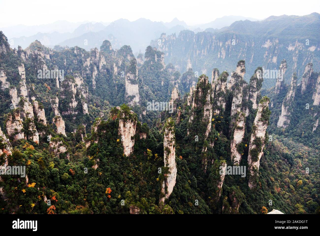 Dramatic scenery in Wulingyuan scenic area in Zhangjiajie, China Stock ...