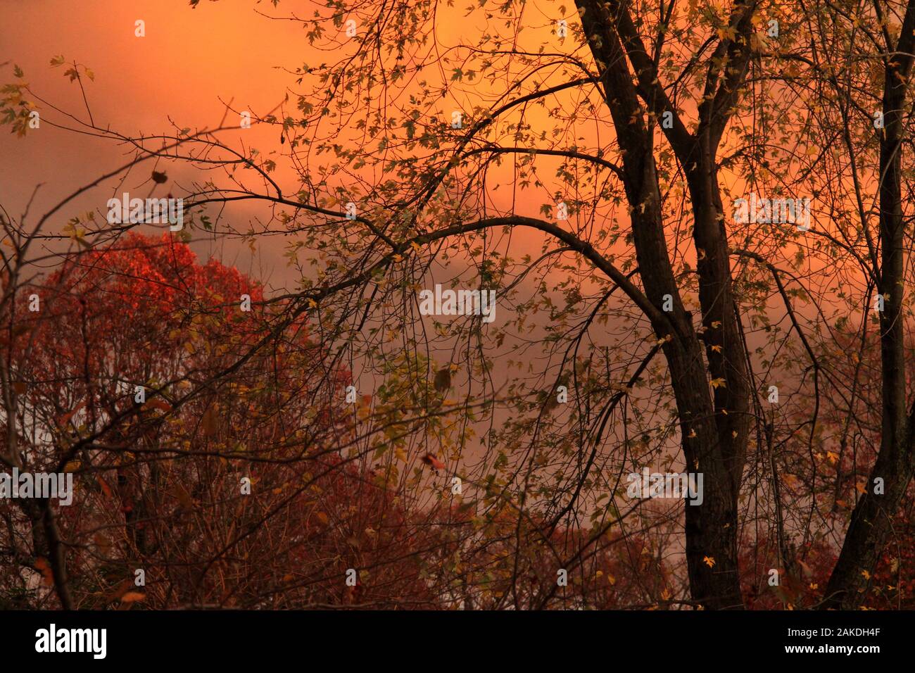 Twilight hues hi-res stock photography and images - Alamy