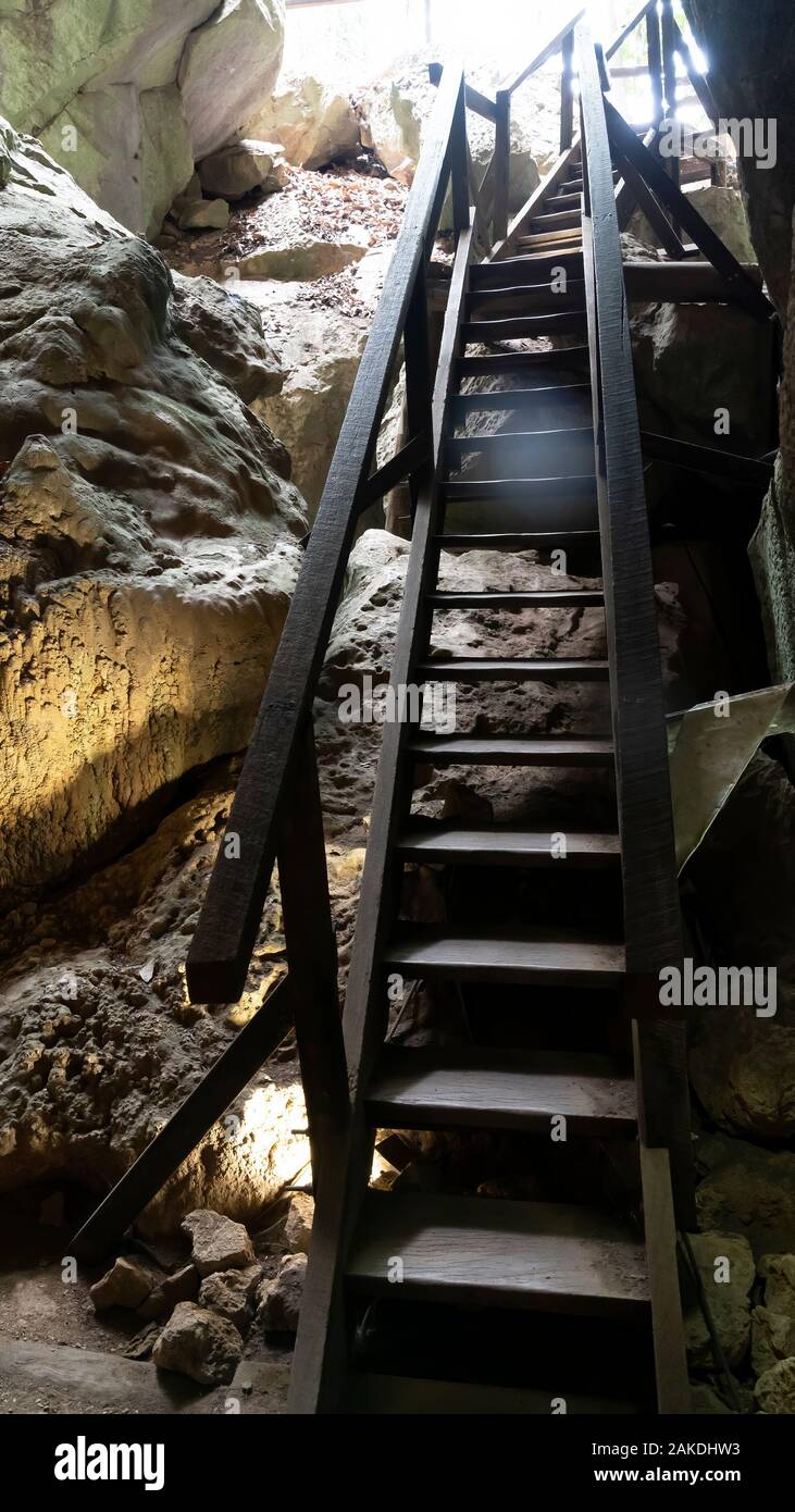 Set of underground timber stairs leading up to the next level near the ...