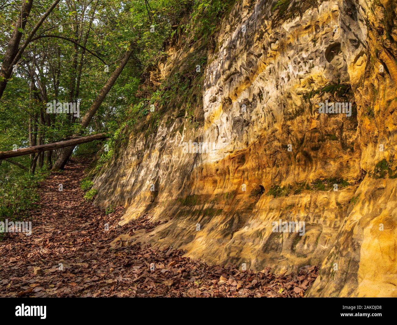 Soft sandstone beside the river, lower Chimney Rock Trail, Whitewater ...