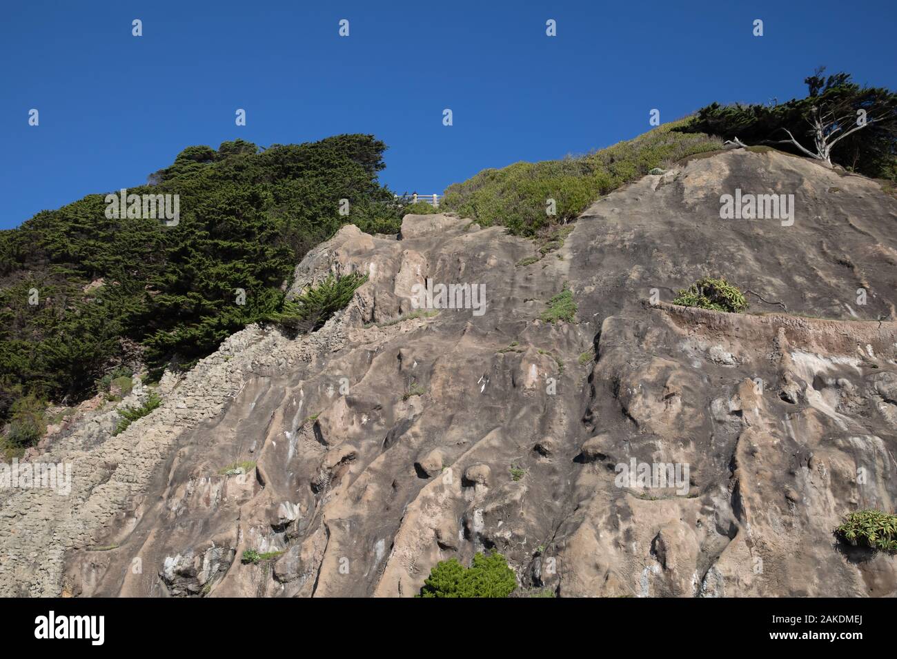 Rock with trees on a bend in Ocean Beach in California, USA Stock Photo ...