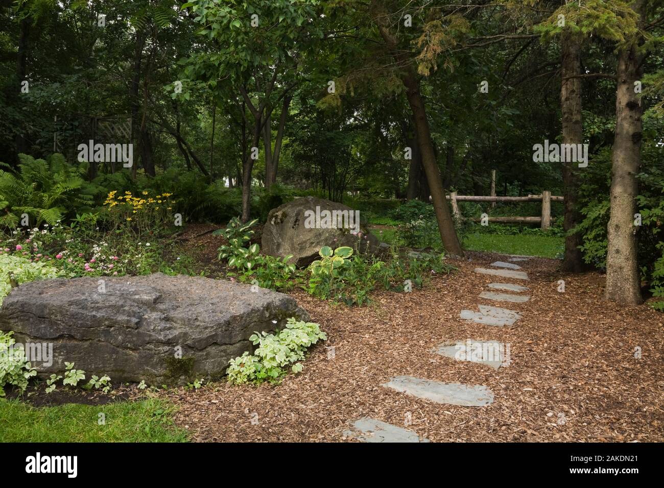 Hostas and ferns hi-res stock photography and images - Alamy