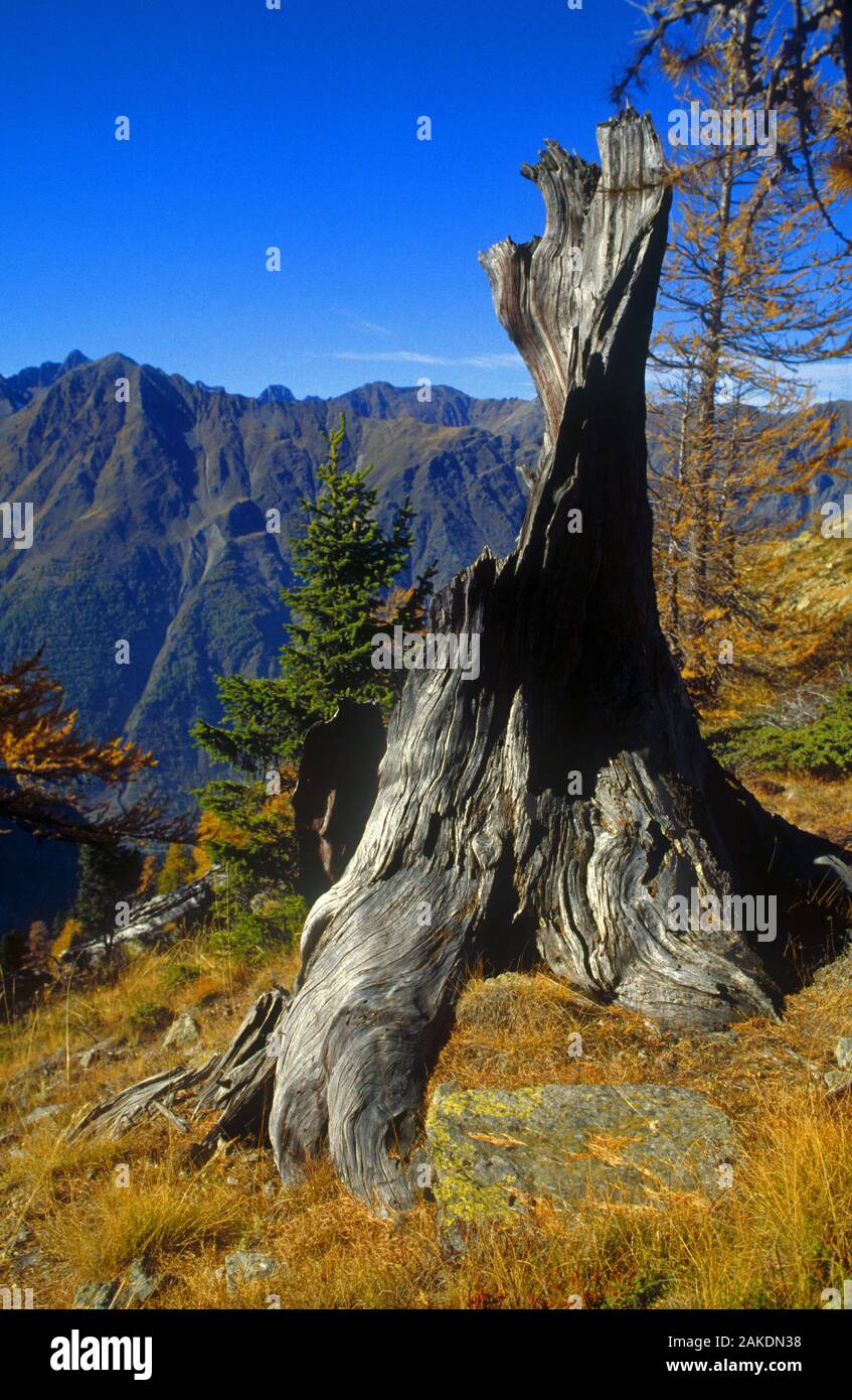 monument to nature Stock Photo - Alamy