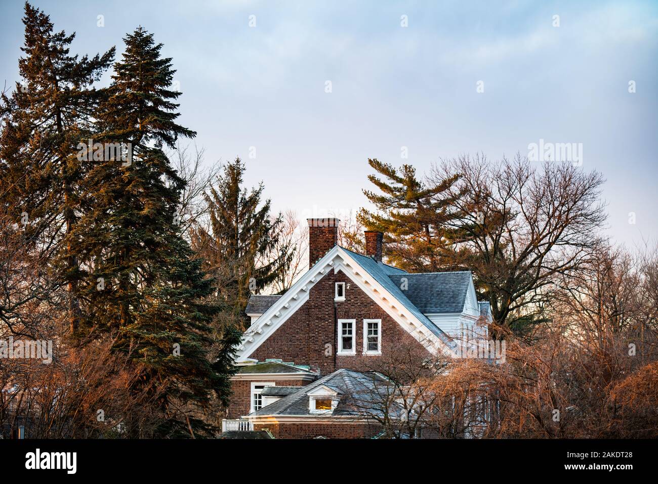 Rooftop of a mansion emerges from between treetops during the morning ...