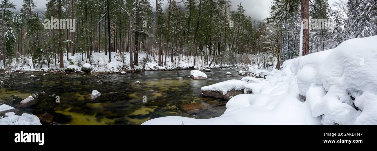 River through woods in snowfall hi-res stock photography and images - Alamy