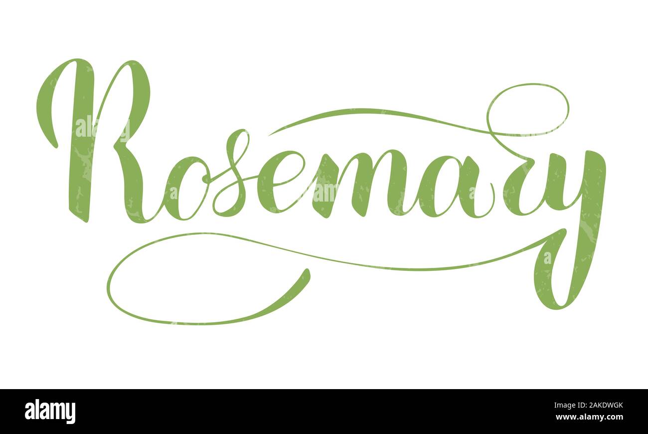 Vector hand written rosemary text isolated on white background. Kitchen ...