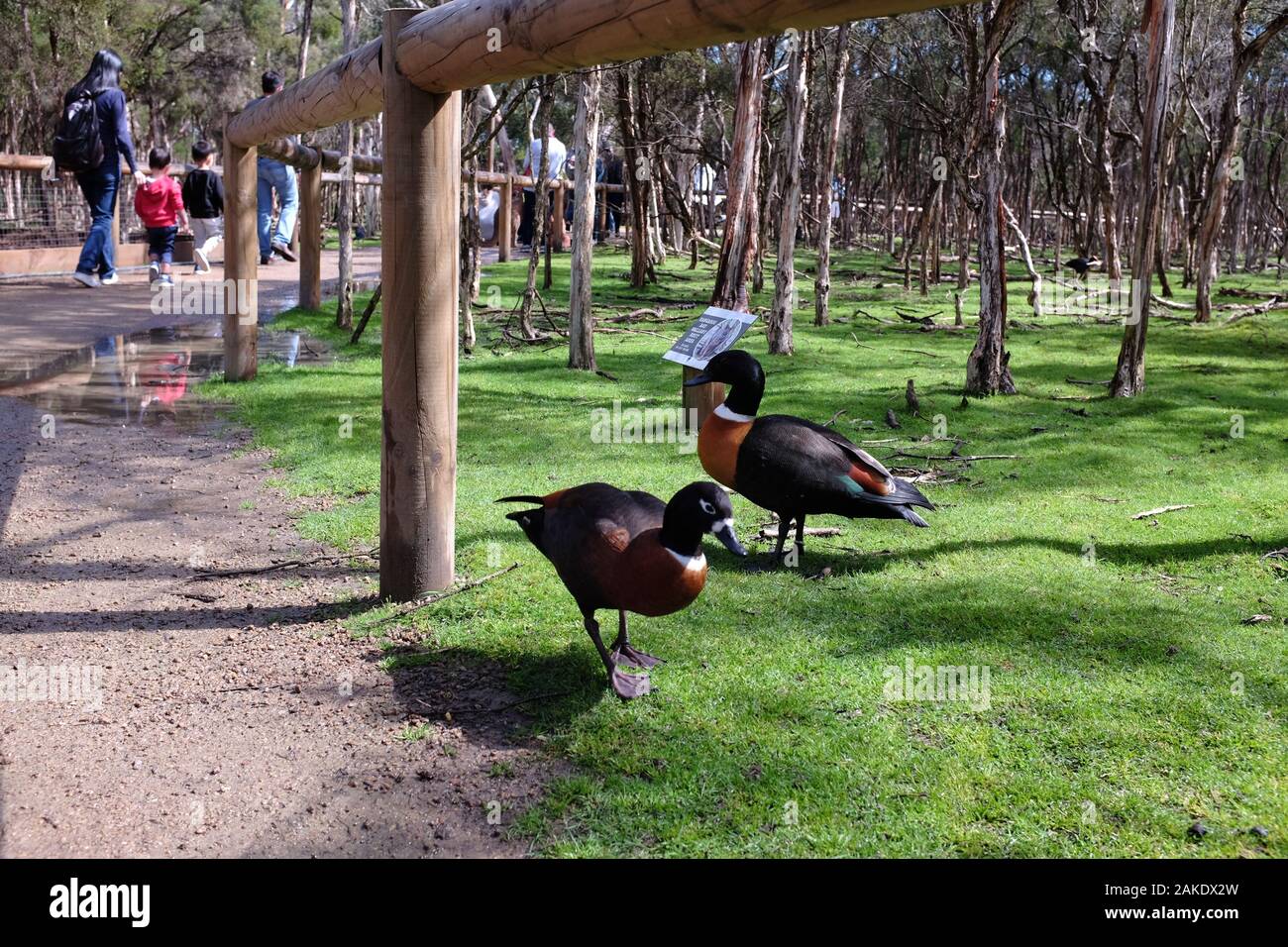 Moonlit Sanctuary Wildlife Park Stock Photo - Alamy