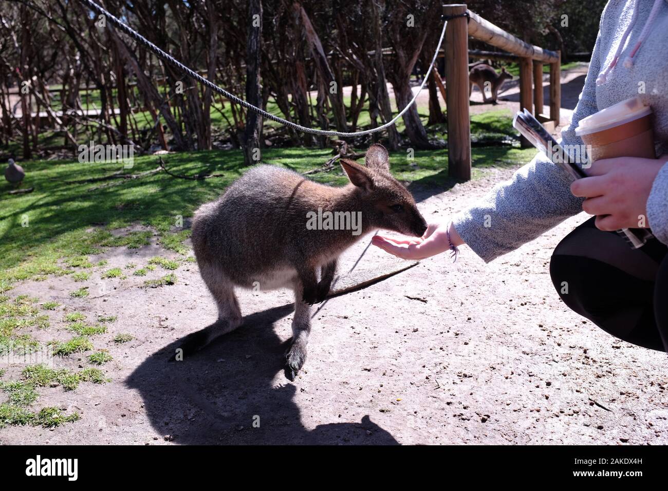 Moonlit Sanctuary Wildlife Park Stock Photo - Alamy