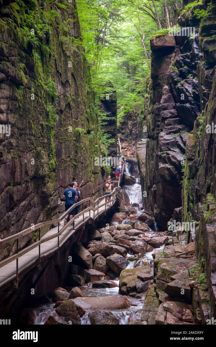 Busy trail at Flume Gorge in New Hampshire Stock Photo - Alamy
