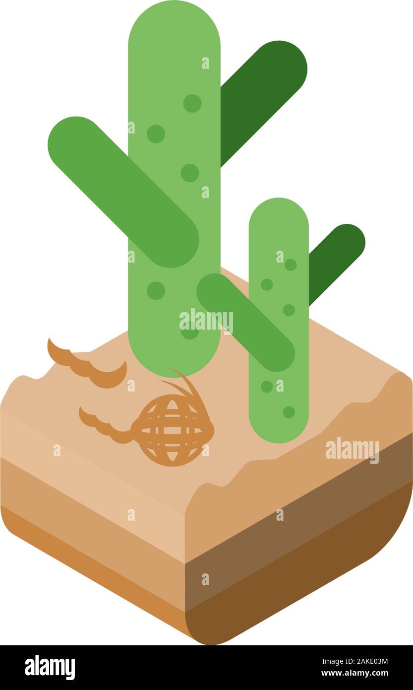 Isometric cactus in the desert design, Nature element earth eco ecology ...