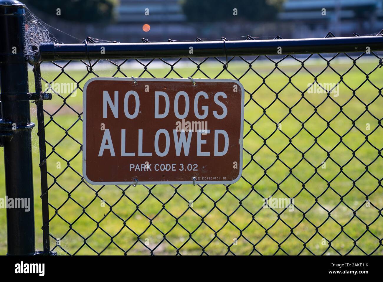 No dogs allowed sign on black fence on gate of grassy park Stock Photo ...