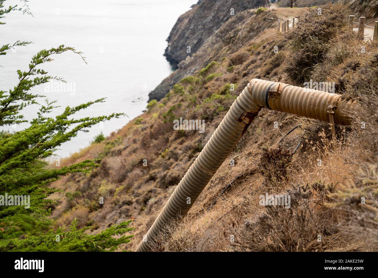 Trail running on dirt path hi-res stock photography and images - Alamy