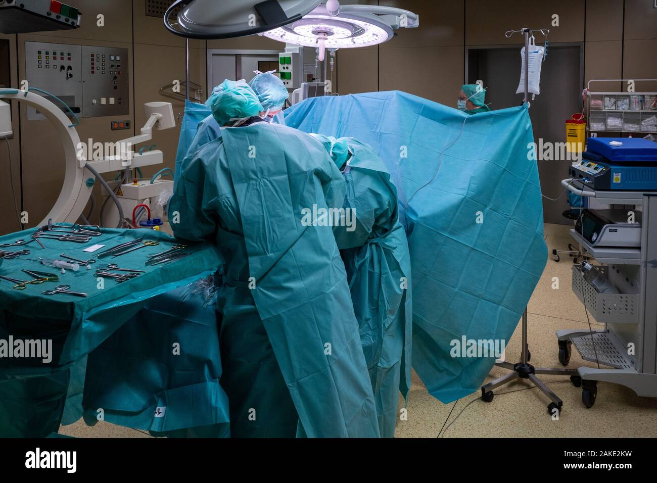 Healthy female vascular system hi-res stock photography and images - Alamy