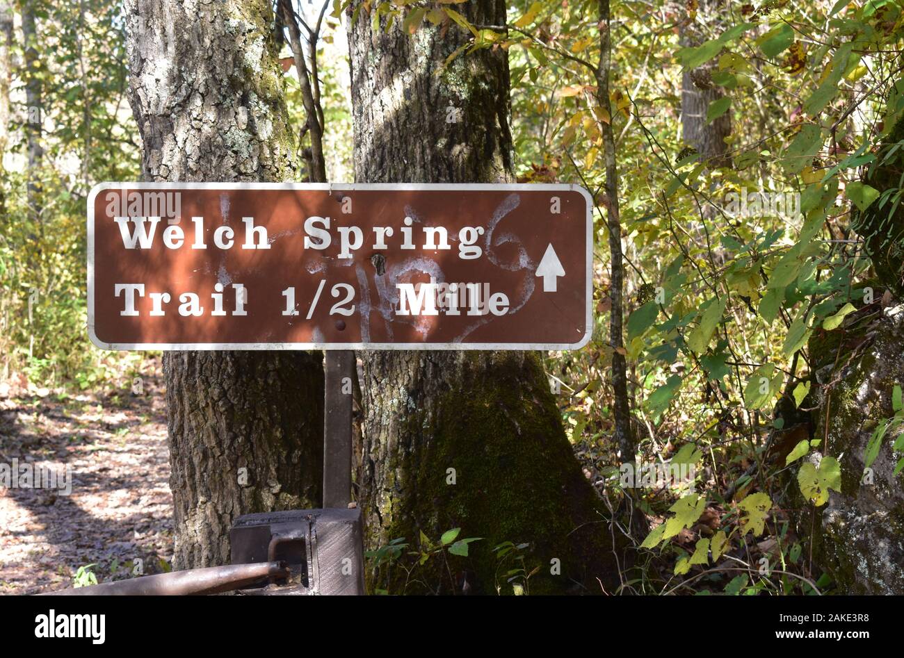 Sign at the beginning of the Welch Spring Trail, which leads to Welch ...