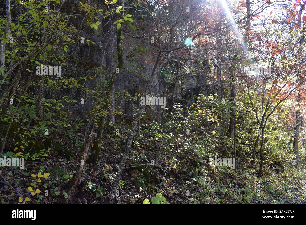 Welch spring hospital ruins hi-res stock photography and images - Alamy
