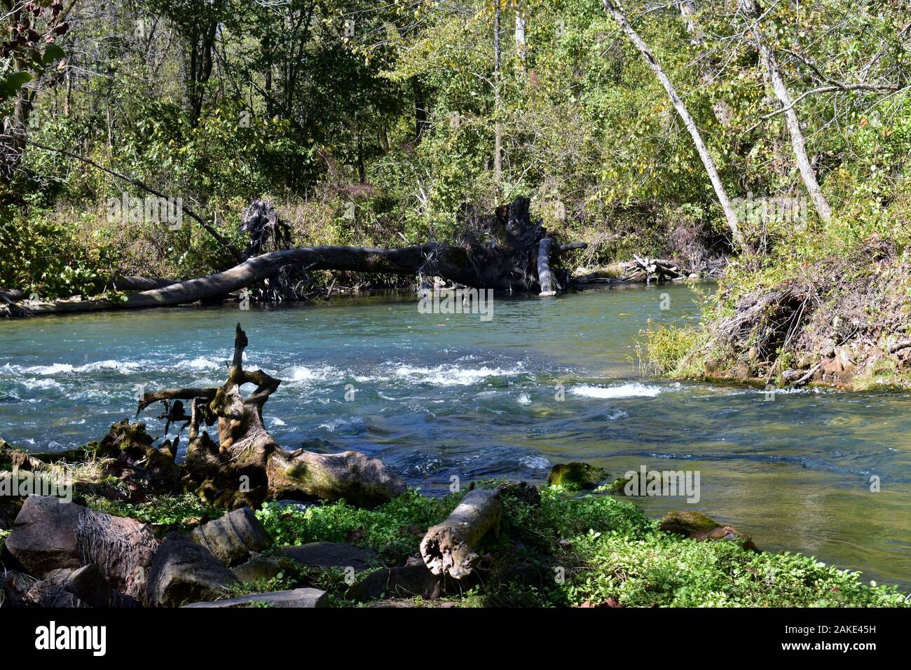Current River High Resolution Stock Photography and Images - Alamy