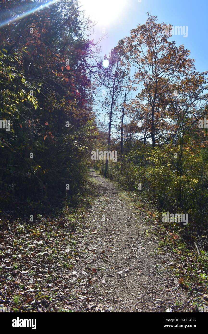 Welch spring hospital ruins hi-res stock photography and images - Alamy