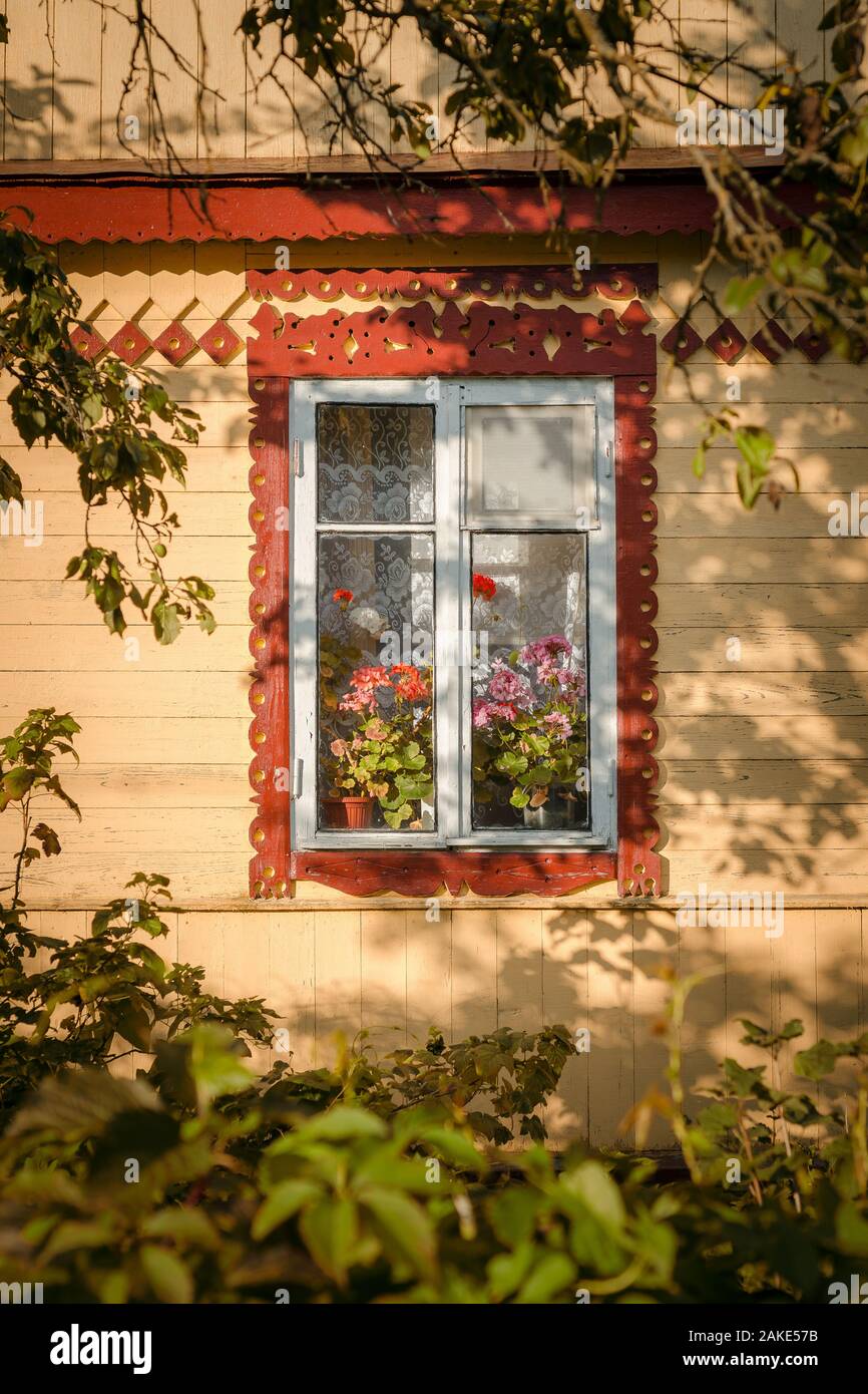 European Beautiful Window Displays