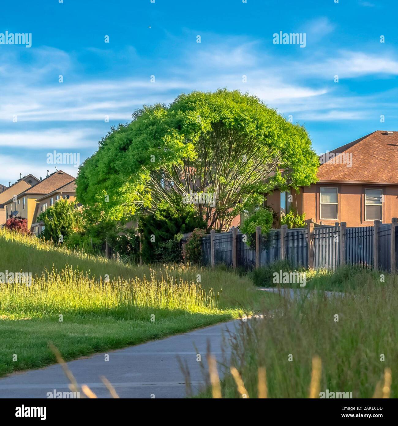 Square frame Views at a golf course with paved road and grasses near ...