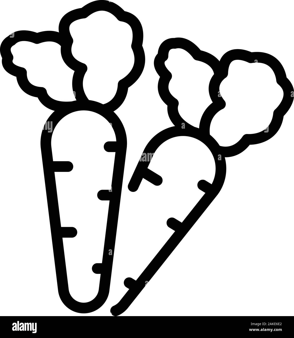 Fresh ripe raw carrots Black and White Stock Photos & Images - Alamy