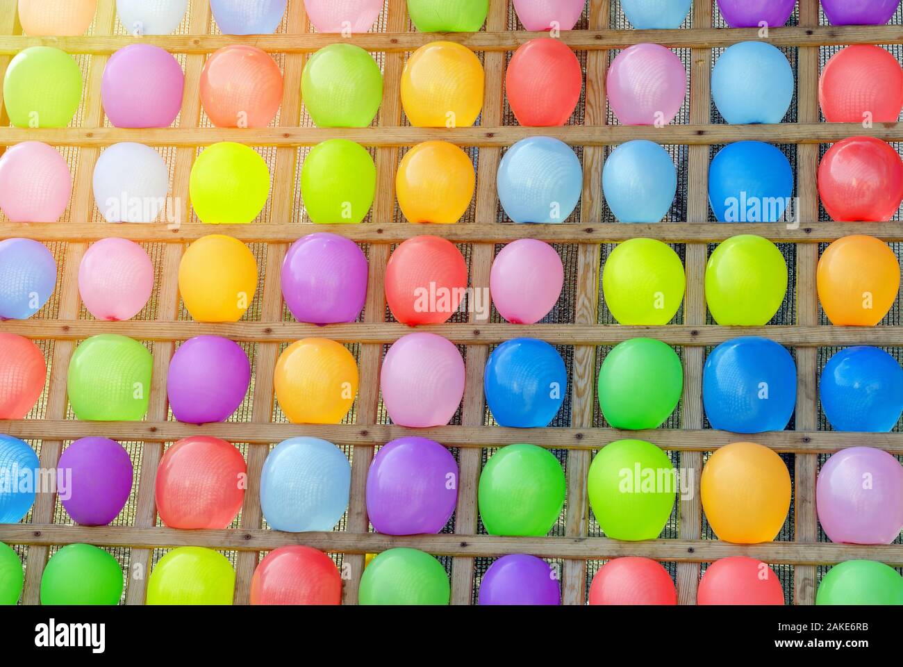 Colorful Balloons As Targets. Wall Of Multicolor Balloons With Some ... Colorful Balloons As Targets. Wall Of Multicolor Balloons With Some ...