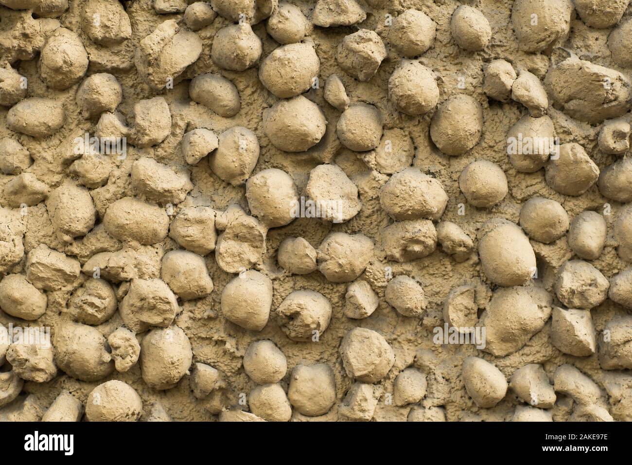 Cement plaster wall background. Close up photo Stock Photo - Alamy