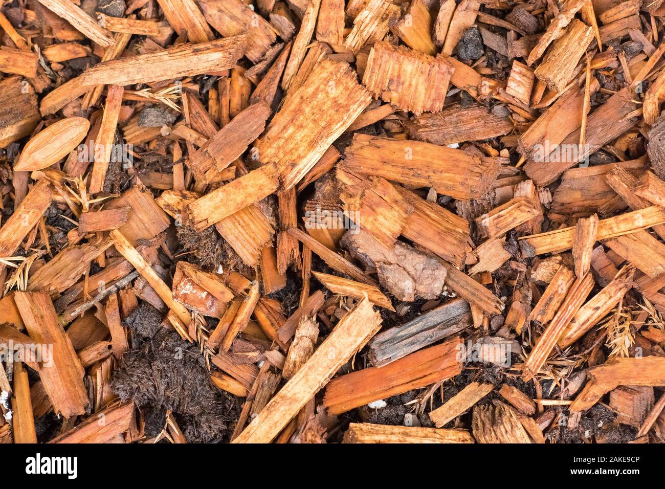 Wood chip bark ground cover hi-res stock photography and images - Alamy