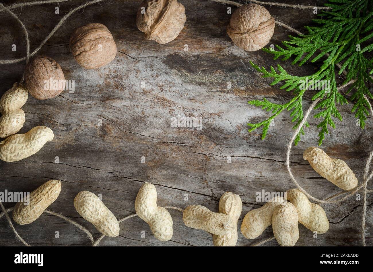 Walnuts on aged wood from a branch of the thuja. Closeup Stock Photo ...