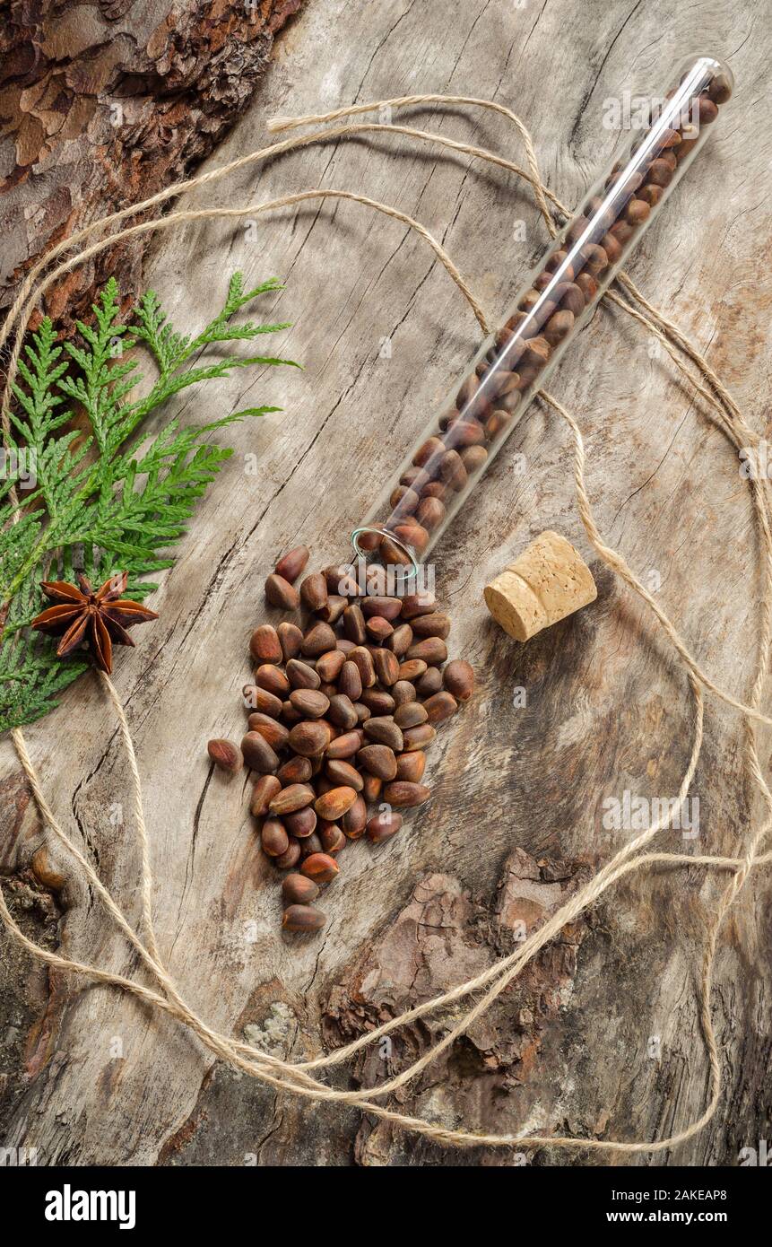 Pinon nuts hi-res stock photography and images - Alamy