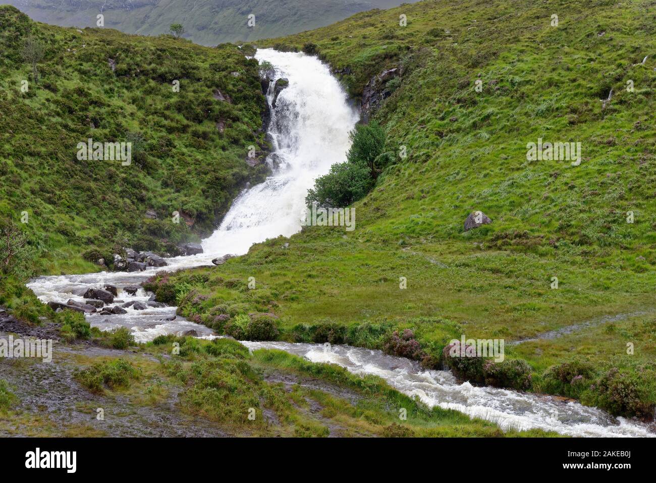 Nam a hi-res stock photography and images - Alamy